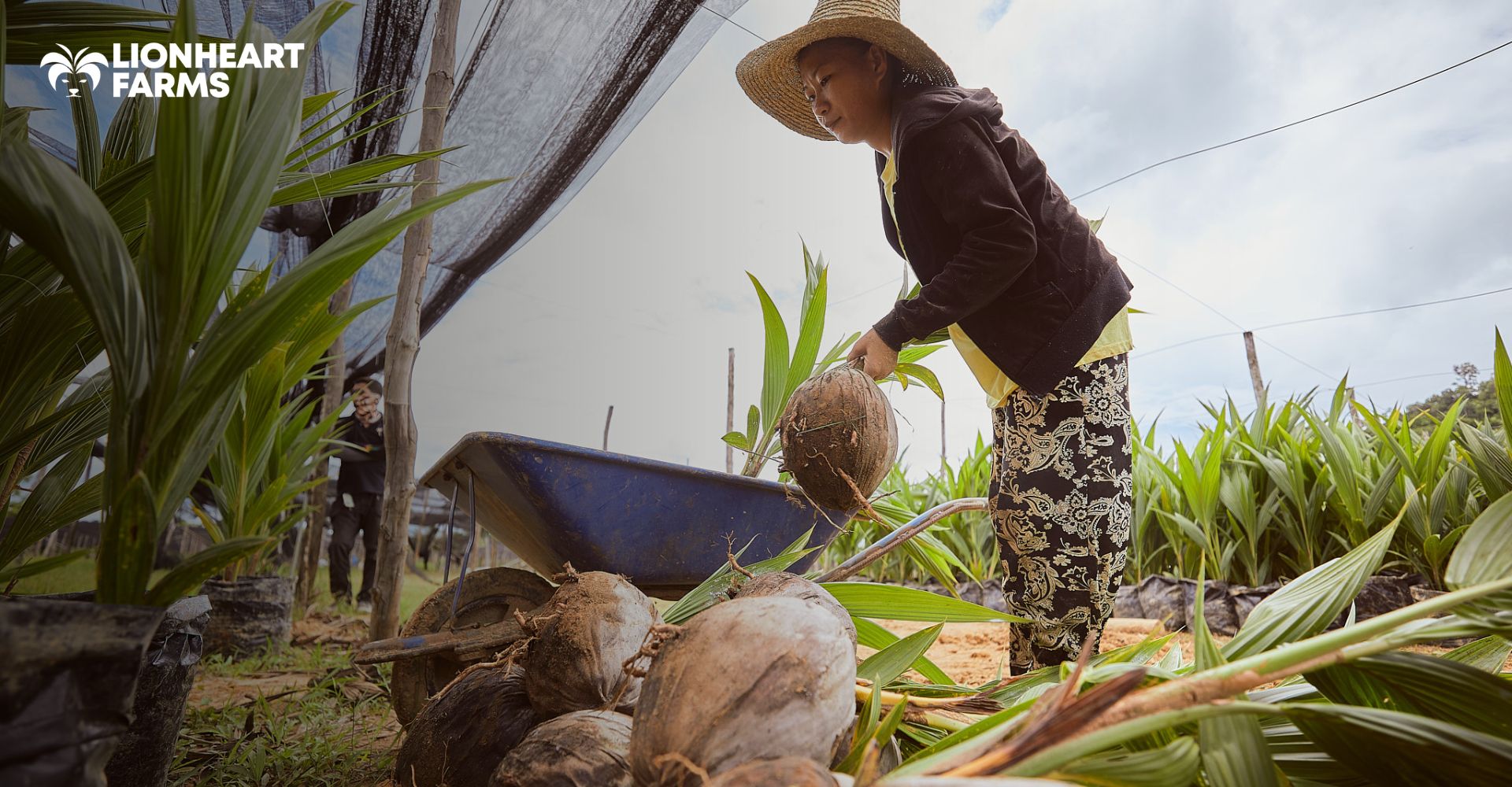 Empowering Philippine Coconut Farmers: The Role of Education in ...