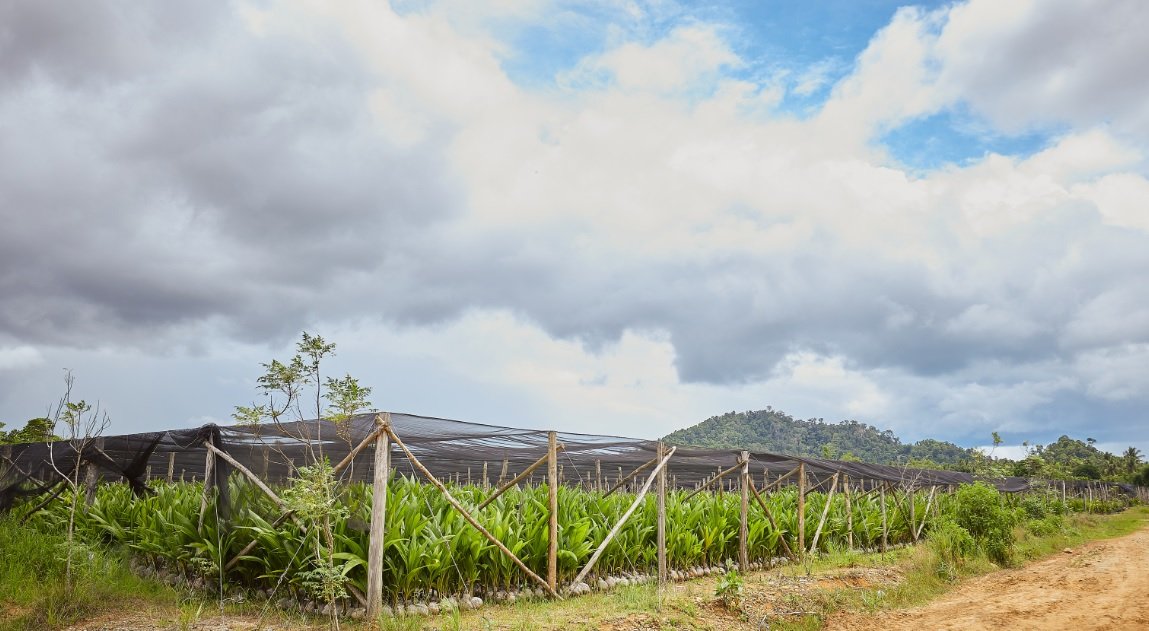 Lionheart Farms Achieves Best Sustainability Accuracy Rating from PCSD