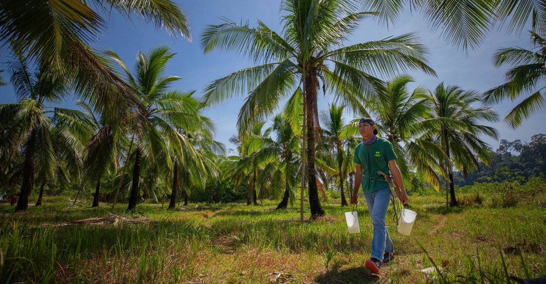 Our Farm To You – Lionheart